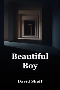 Beautiful Boy book cover