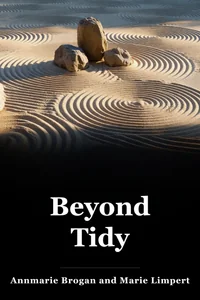Beyond Tidy book cover