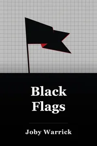 Black Flags book cover