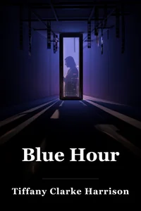 Blue Hour book cover
