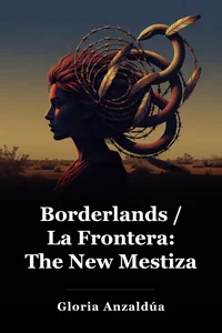 Borderlands / La Frontera: The New Mestiza book cover