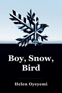 Boy, Snow, Bird book cover