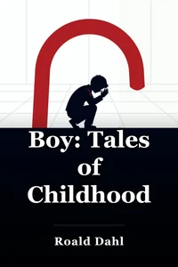 Boy: Tales of Childhood book cover