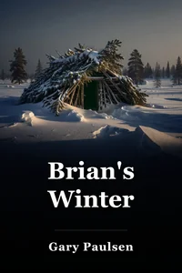 Brian's Winter book cover