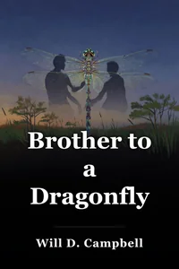 Brother to a Dragonfly book cover