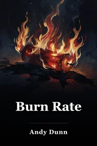 Burn Rate book cover