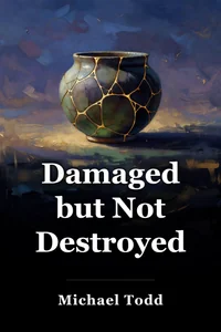 Damaged but Not Destroyed book cover