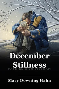 December Stillness book cover