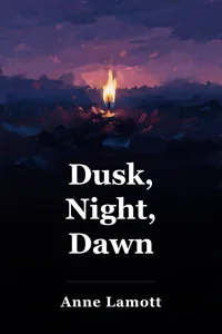 Dusk, Night, Dawn book cover