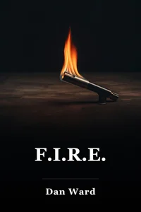 F.I.R.E. book cover