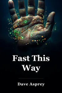 Fast This Way book cover