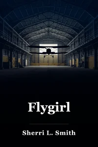 Flygirl book cover