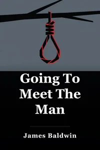 Going To Meet The Man book cover