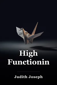 High Functioning book cover
