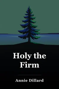 Holy the Firm book cover