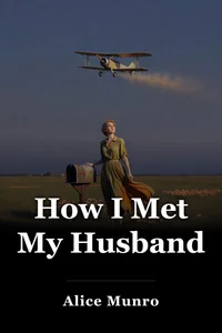 How I Met My Husband book cover