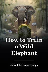 How to Train a Wild Elephant book cover