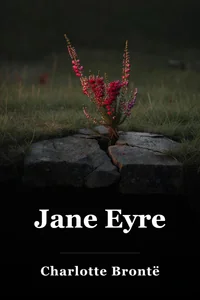 Jane Eyre book cover