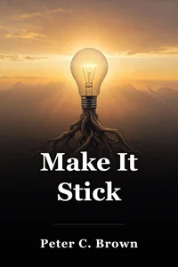 Make It Stick book cover