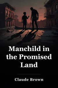 Manchild in the Promised Land book cover
