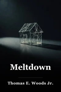 Meltdown book cover