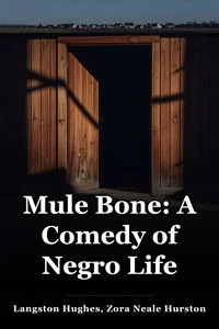 Mule Bone: A Comedy of Negro Life book cover