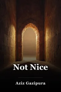 Not Nice book cover