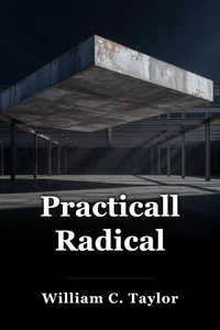 Practically Radical book cover