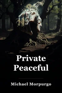 Private Peaceful book cover