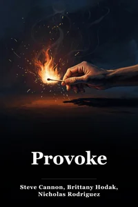 Provoke book cover