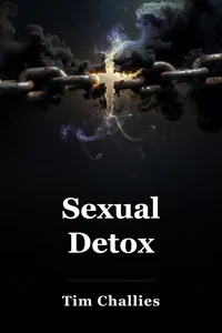 Sexual Detox book cover
