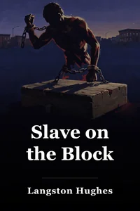 Slave on the Block book cover
