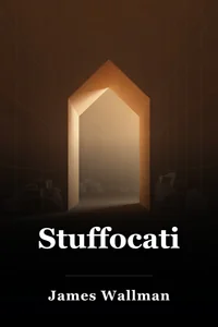 Stuffocation book cover