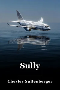 Sully book cover