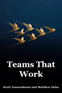 Teams That Work book cover