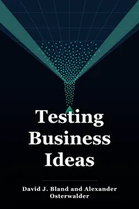 Testing Business Ideas book cover