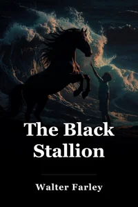 The Black Stallion book cover