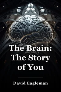 The Brain: The Story of You book cover