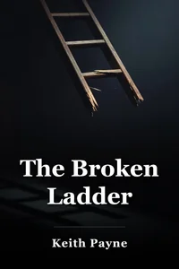 The Broken Ladder book cover