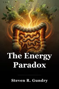 The Energy Paradox book cover