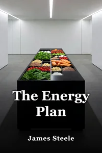The Energy Plan book cover