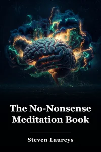 The No-Nonsense Meditation Book book cover