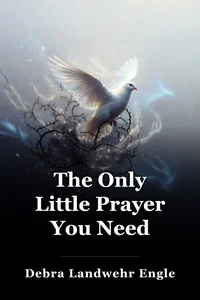 The Only Little Prayer You Need book cover