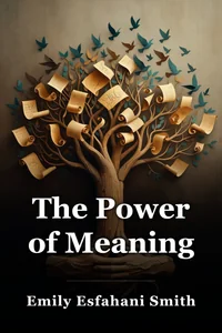 The Power of Meaning book cover