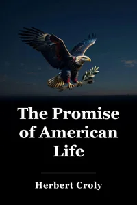 The Promise of American Life book cover