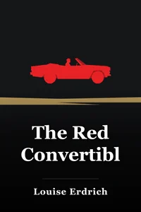 The Red Convertible book cover