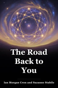 The Road Back to You book cover