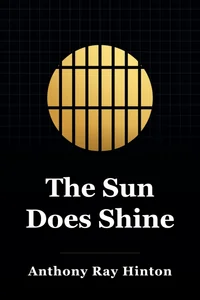 The Sun Does Shine book cover