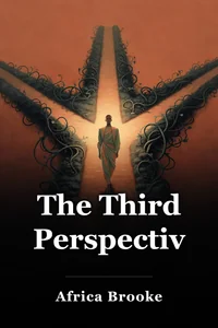 The Third Perspective book cover