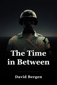 The Time in Between book cover